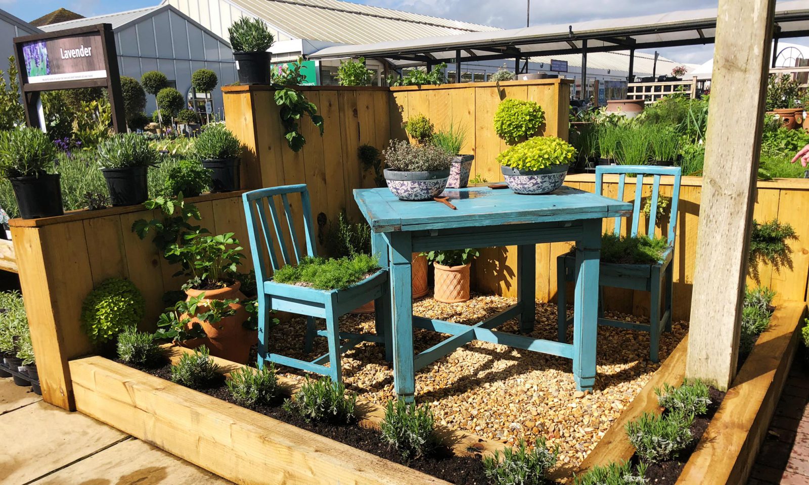 Shop staging - Dendron Akademie